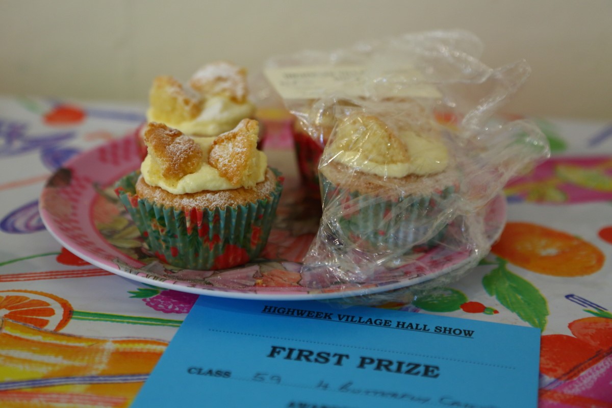 Highweek Village Show – Highweek Village Hall