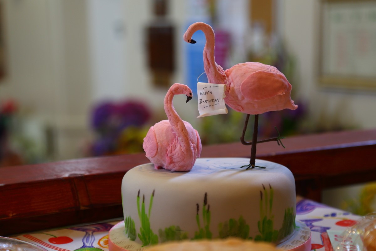 Highweek Village Show – Highweek Village Hall